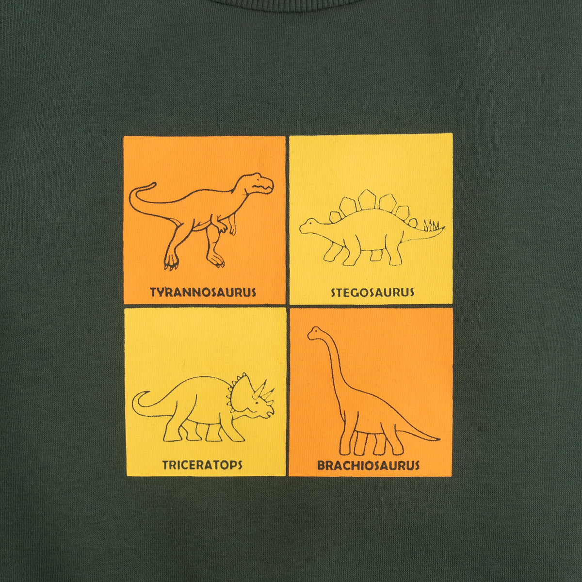 Dino-Stride Duo Pack – cocobee