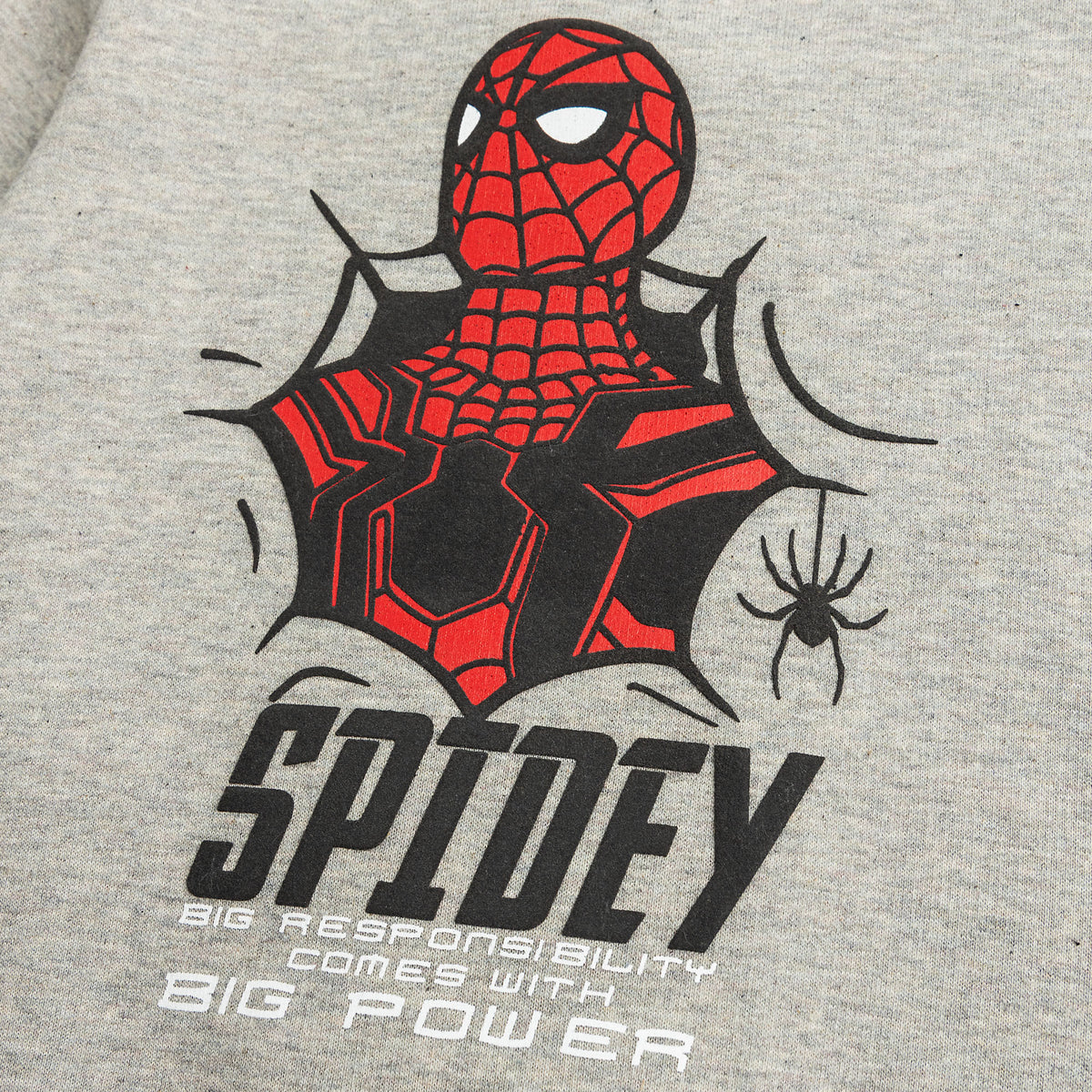 Spidey Power Printed Sweatshirt – cocobee