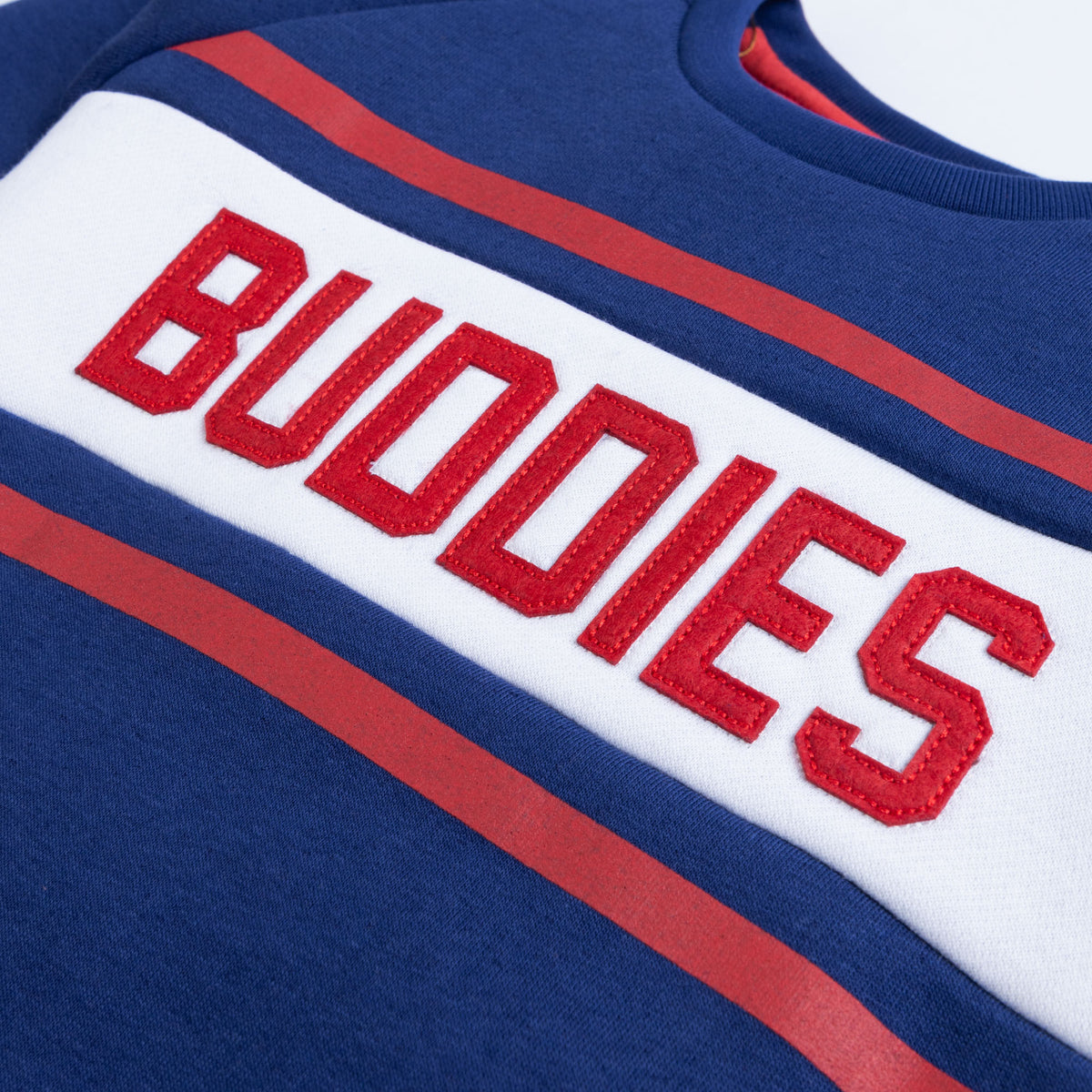 Raglan Blue Sweatshirt – cocobee